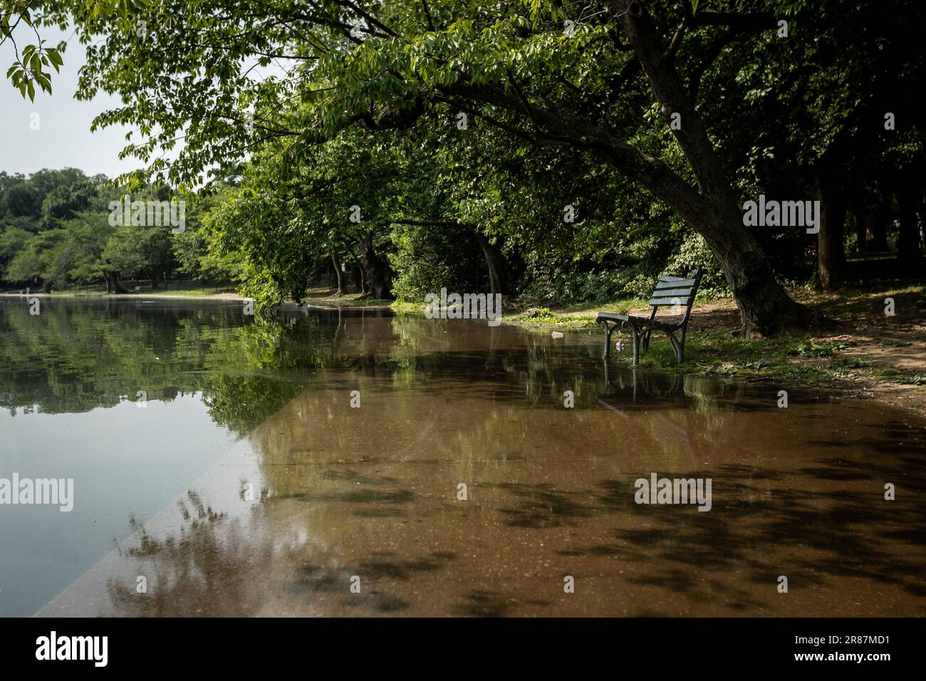 Washington, United States. 19th June, 2023. A bench sits in water as ...