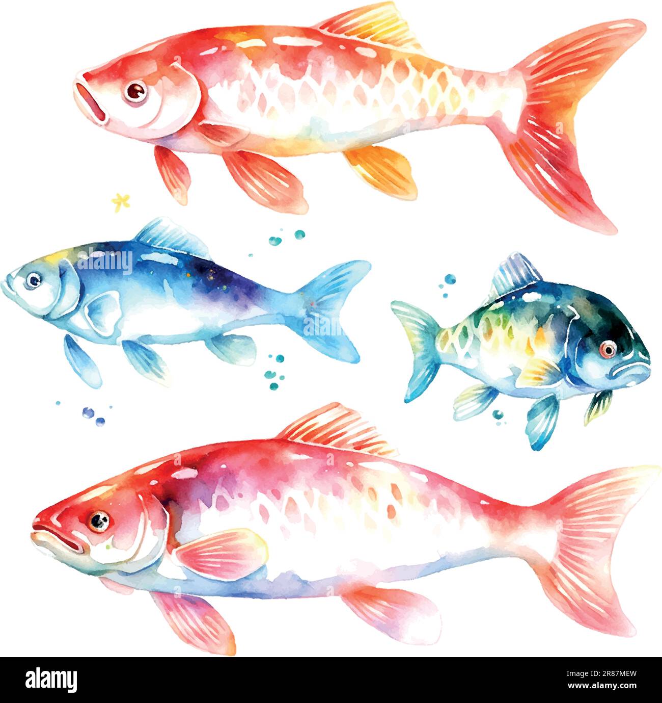 Beautiful fish watercolor, great design for any purposes. Vector ...