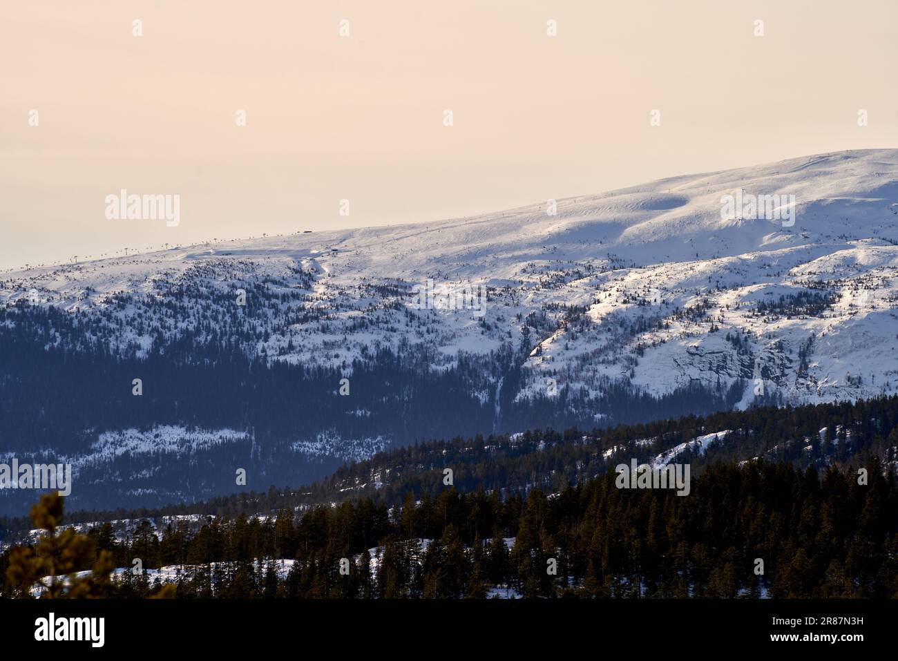 A picturesque winter landscape of Norefjell, Norway with tall, snow ...