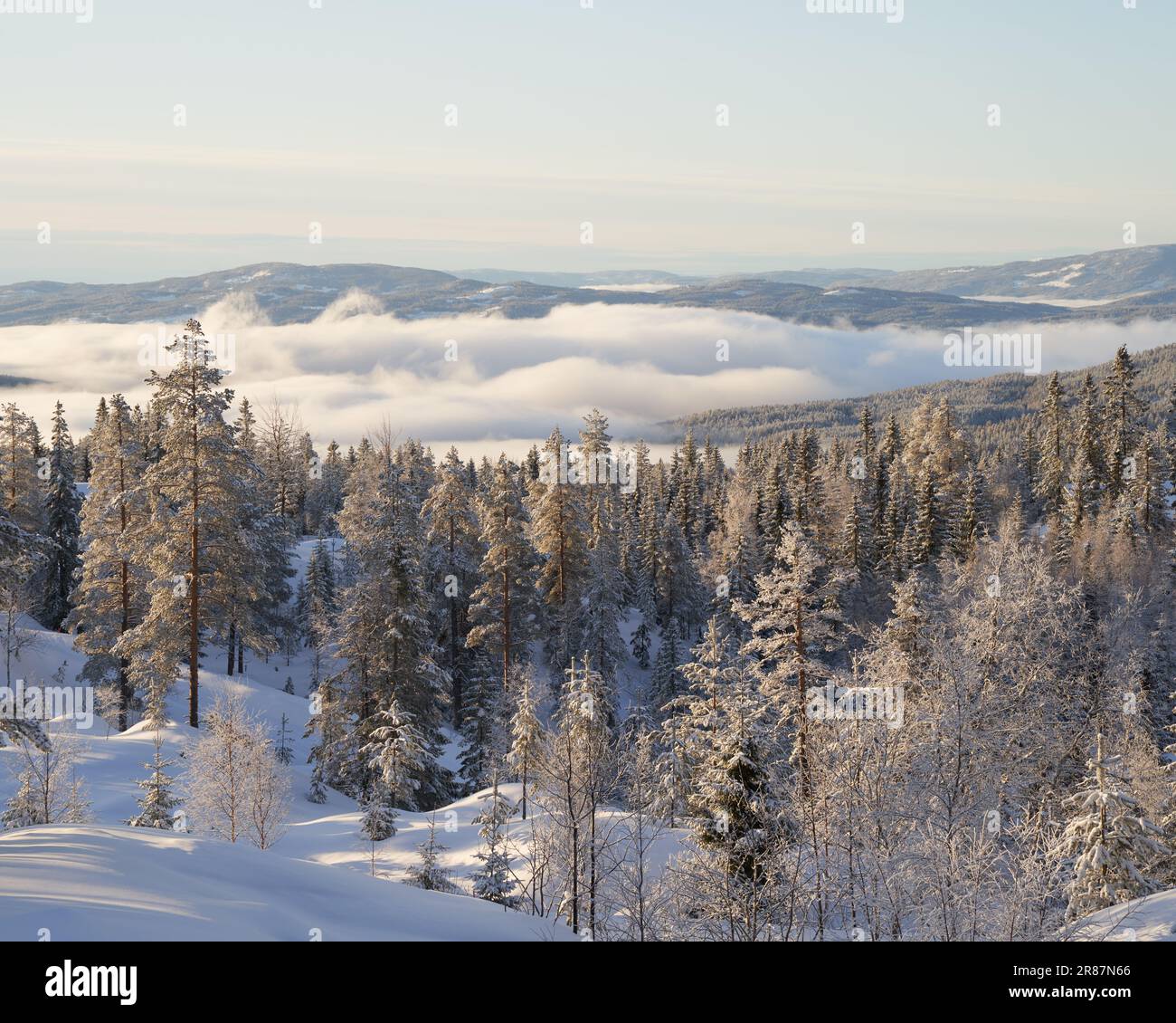 The picturesque winter landscape of Norefjell, Norway, with a blanket ...