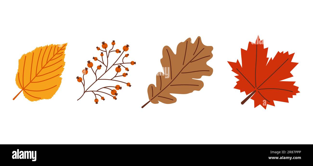 Start of fall. Cozy autumn element. Maple, oak, birch leaves and ...