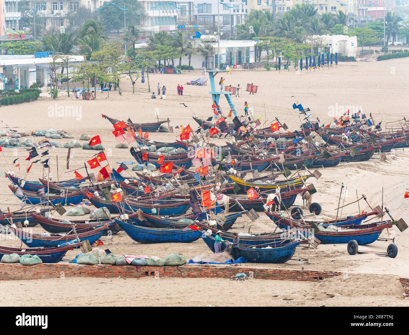 Traditional Vietnamese fishing boats beached on a hazy day at Sam Son ...