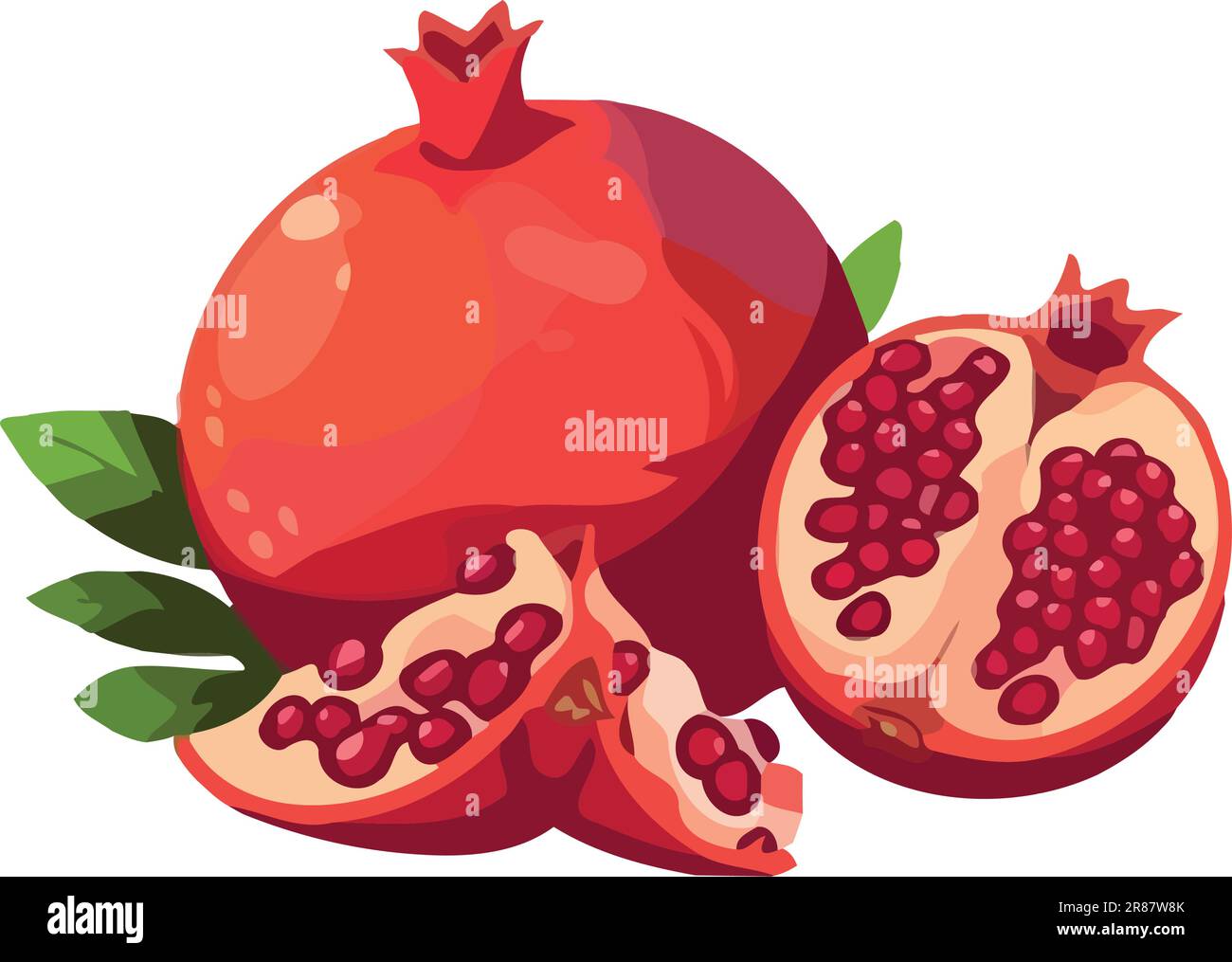 Pomegranate cross section Stock Vector Images - Alamy