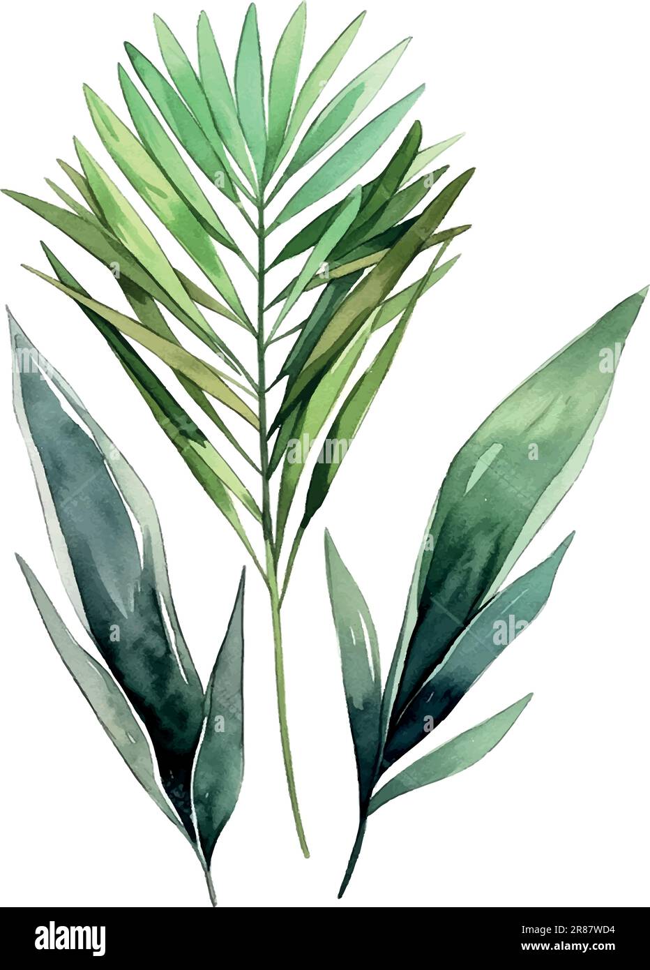 Modern exotic leave watercolor, great design for any purposes. Isolated ...