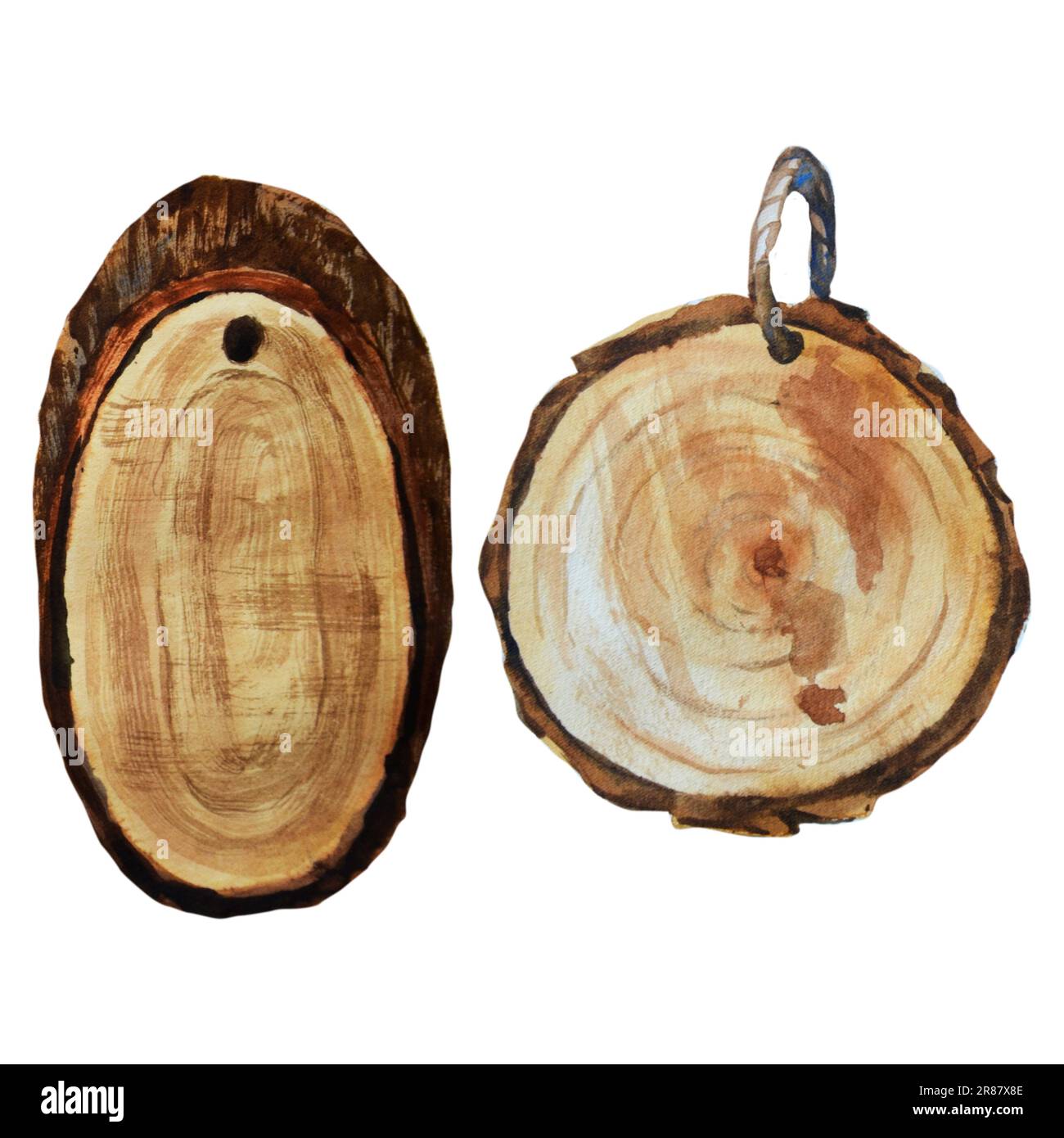 Watercolor wood slices clipart set, circle shaped wood slice with place ...