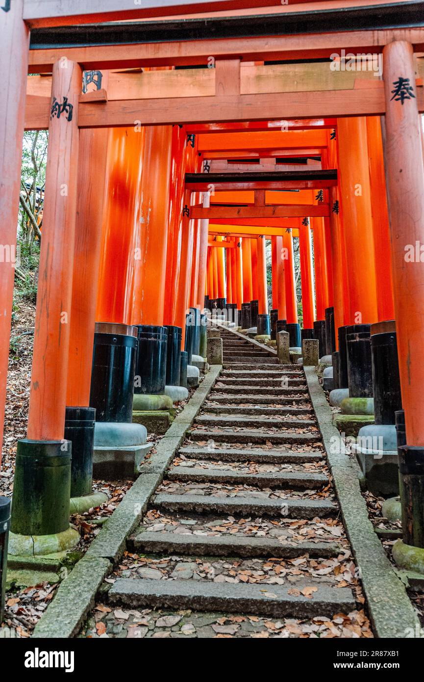 Kyoto, Japan - December 29, 2019. Impression of the many Torii of the ...
