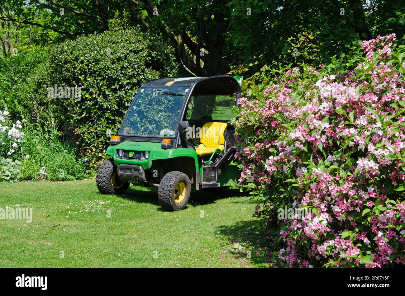 Gardeners buggy in a botanical garden among shrubs and trees Stock ...