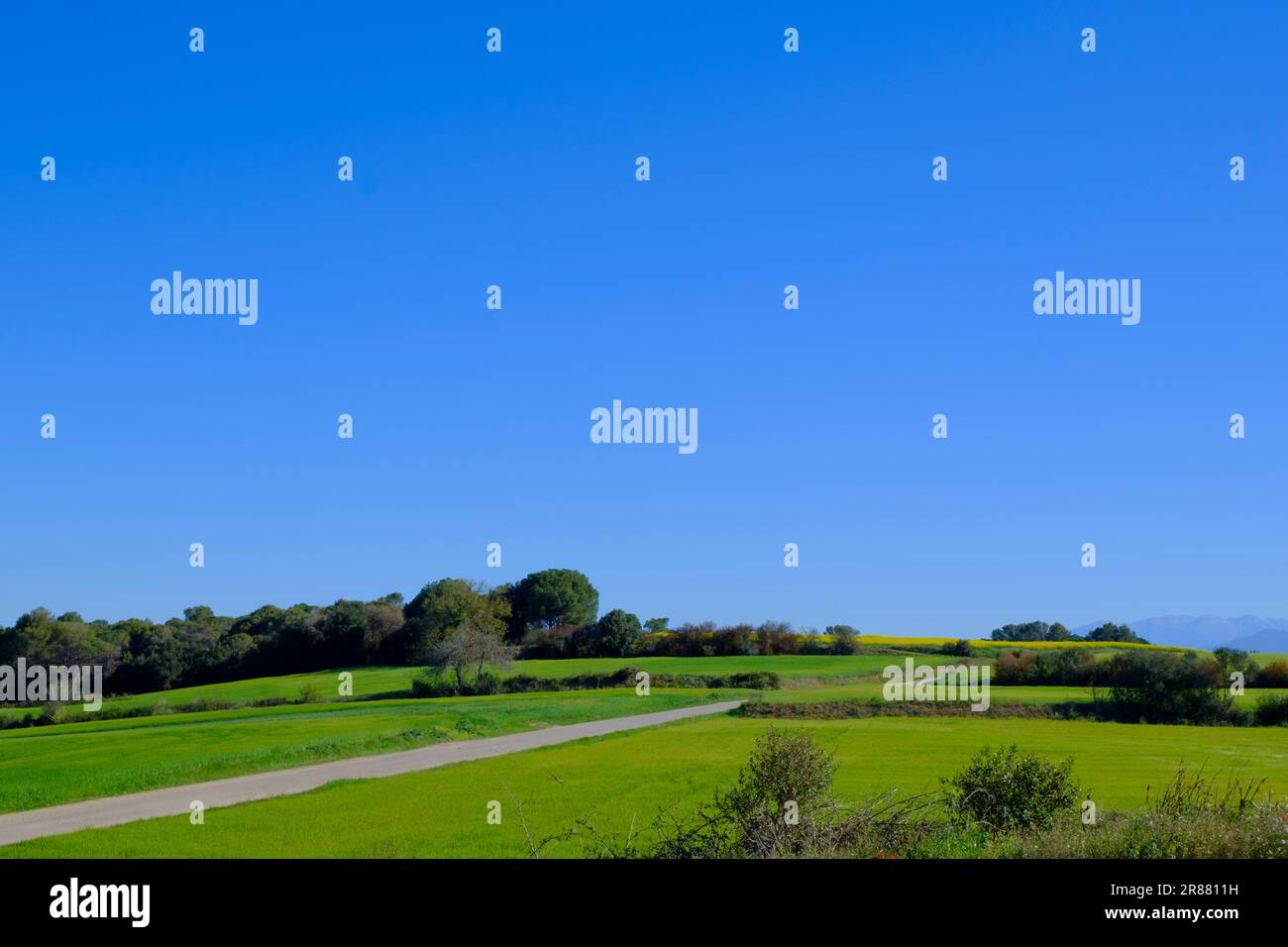 Blue countryside field forest hi-res stock photography and images - Alamy
