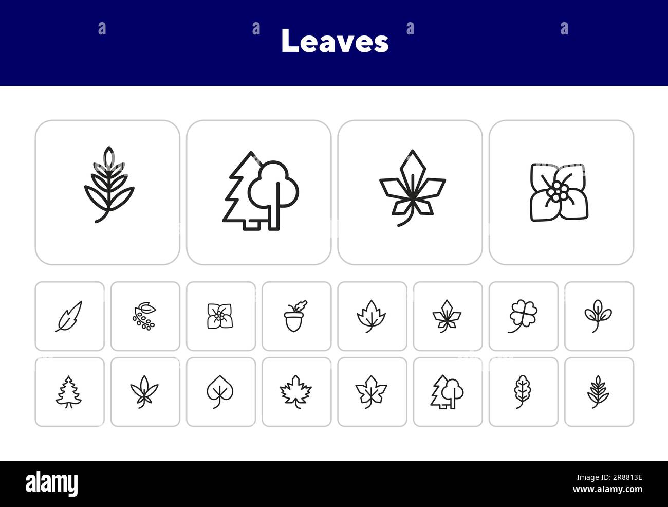 Birch falls Stock Vector Images - Alamy