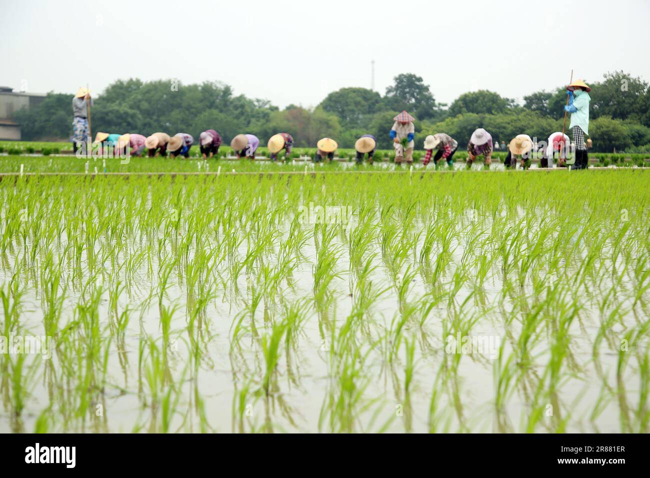 Wujin hi-res stock photography and images - Alamy
