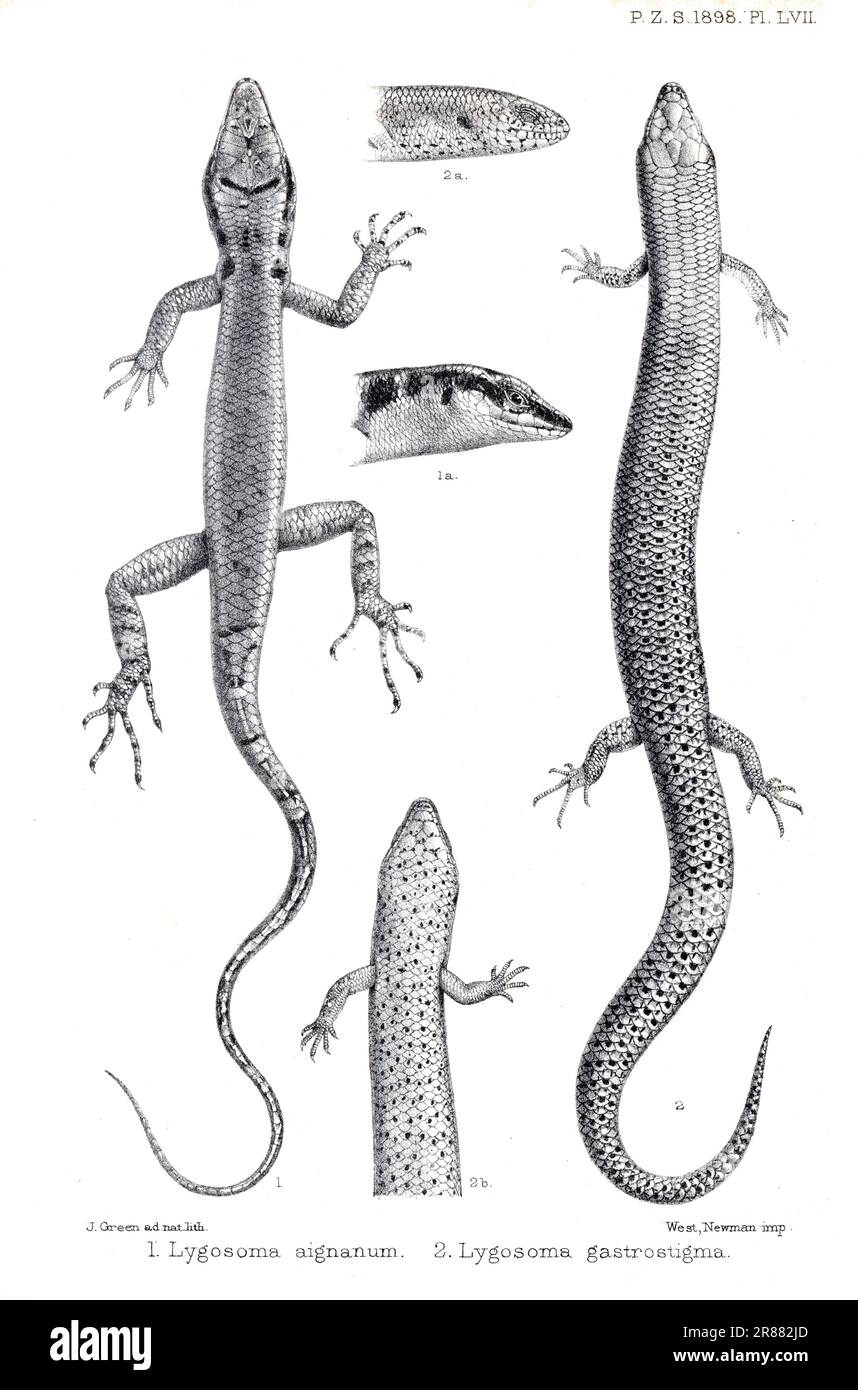 Mintern brothers hi-res stock photography and images - Alamy