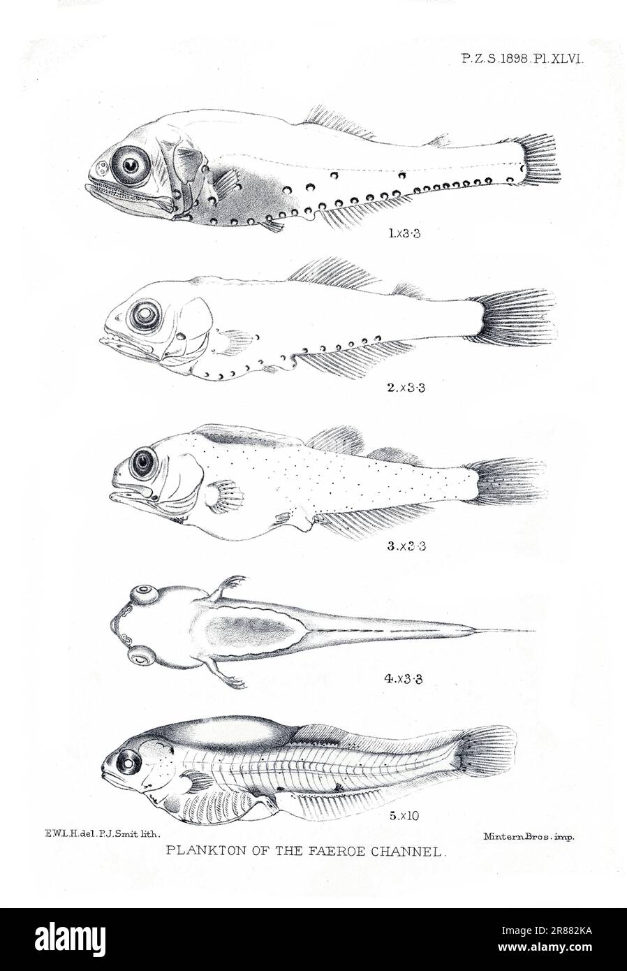 Mintern brothers hi-res stock photography and images - Alamy