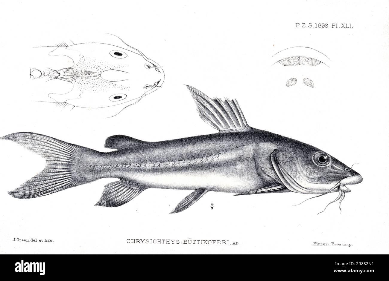 Mintern brothers hi-res stock photography and images - Alamy