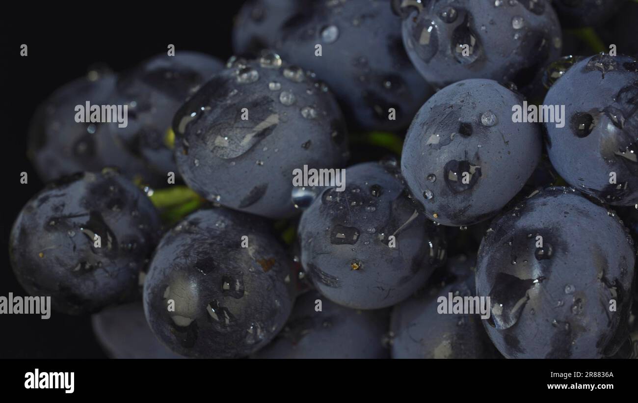 Details fresh dark grapes hi-res stock photography and images - Alamy