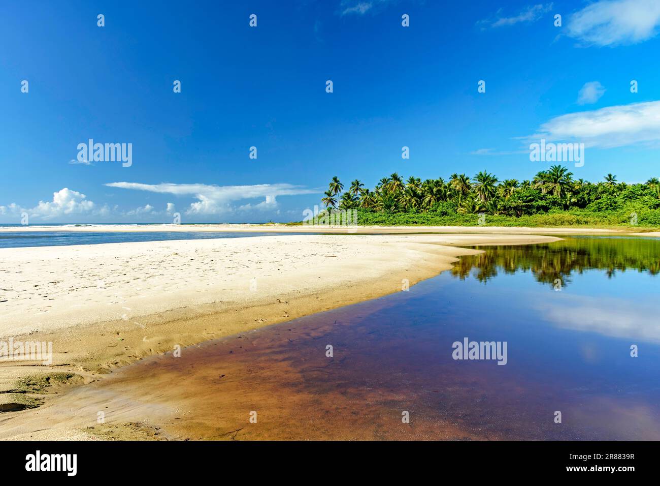 Where the river meets the sea with coconut trees in the background at ...