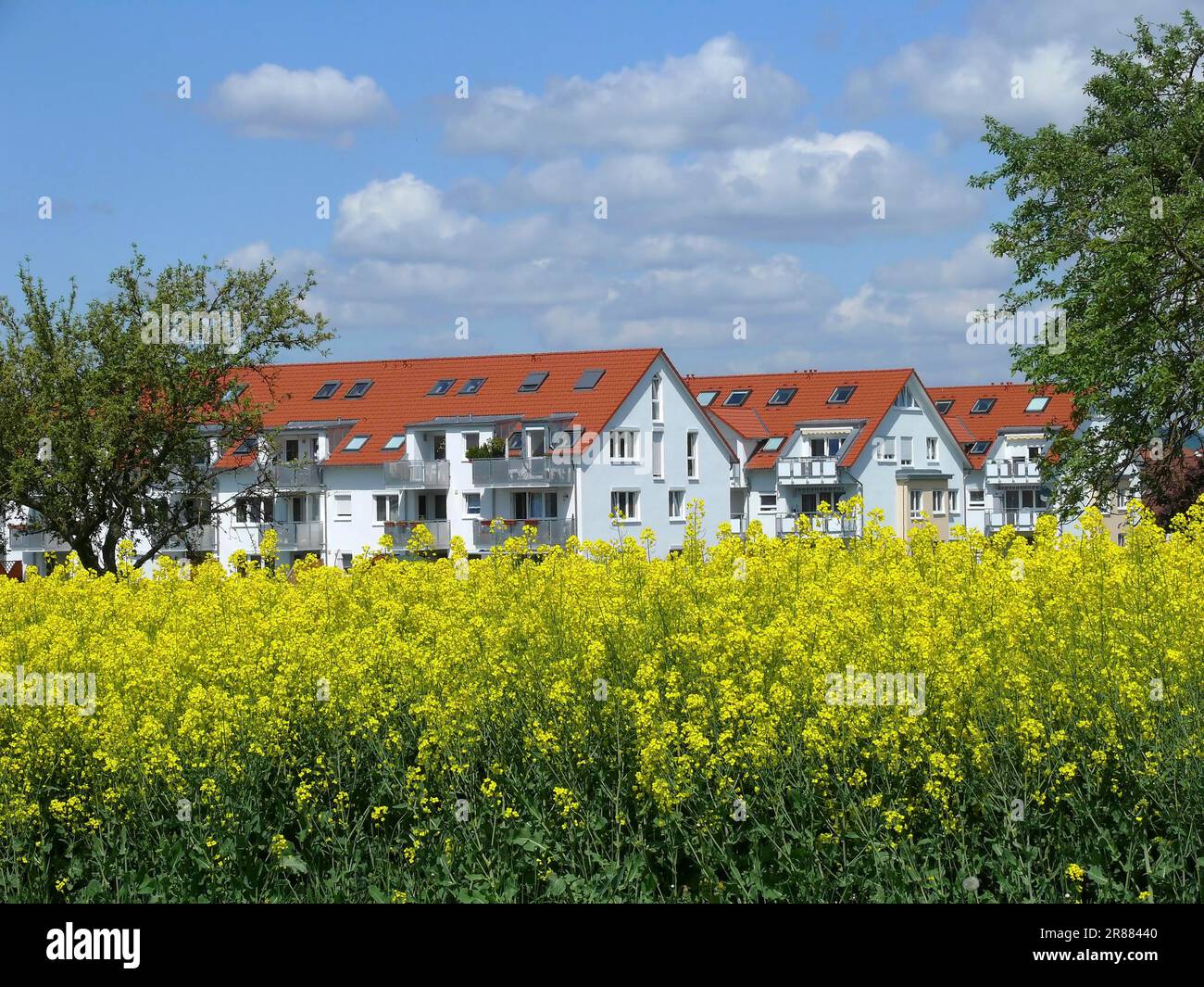 Residential area in the countryside, new development area in ...