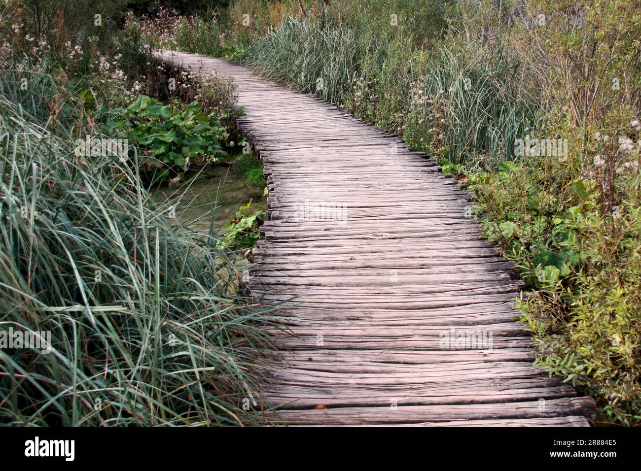 Footbridge through the water plants in Plitvice Lakes National Park ...