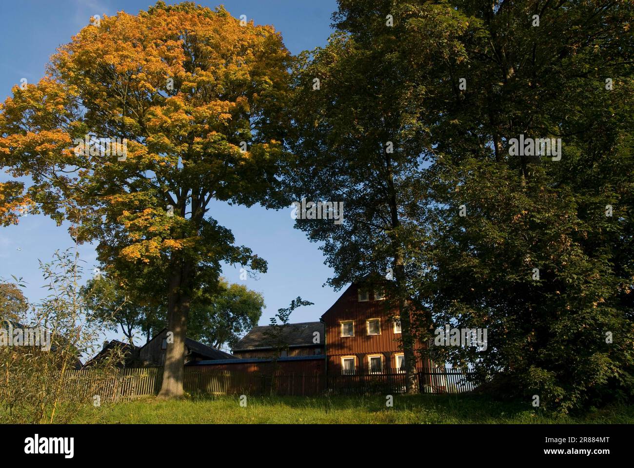 Raun hi-res stock photography and images - Alamy