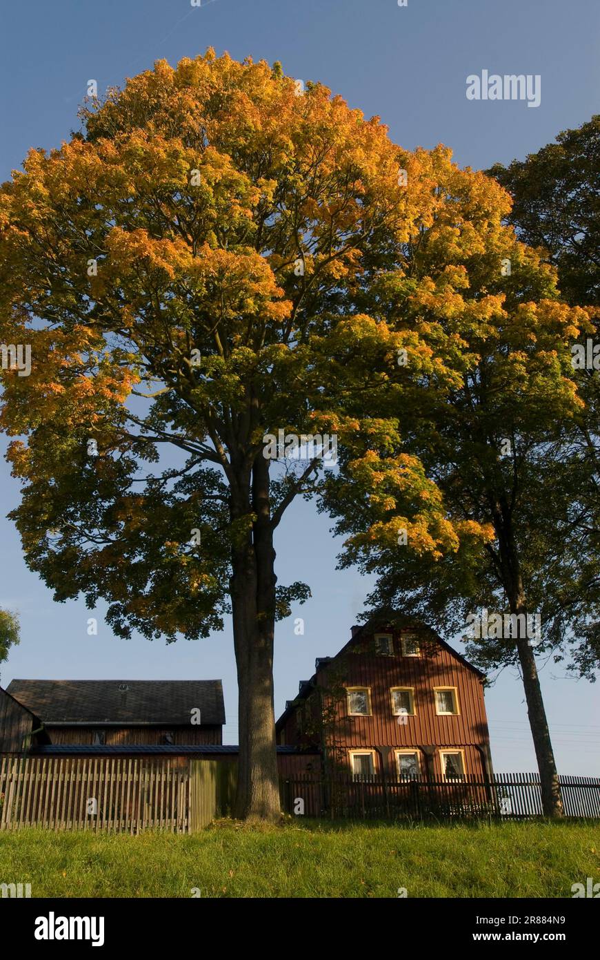 Raun hi-res stock photography and images - Alamy