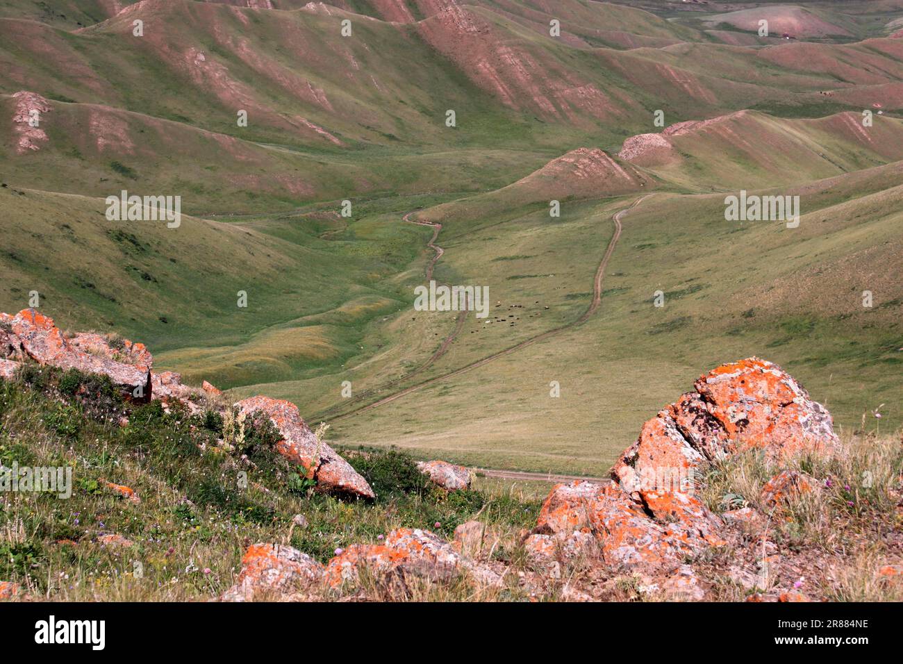 Kyzart hi-res stock photography and images - Alamy