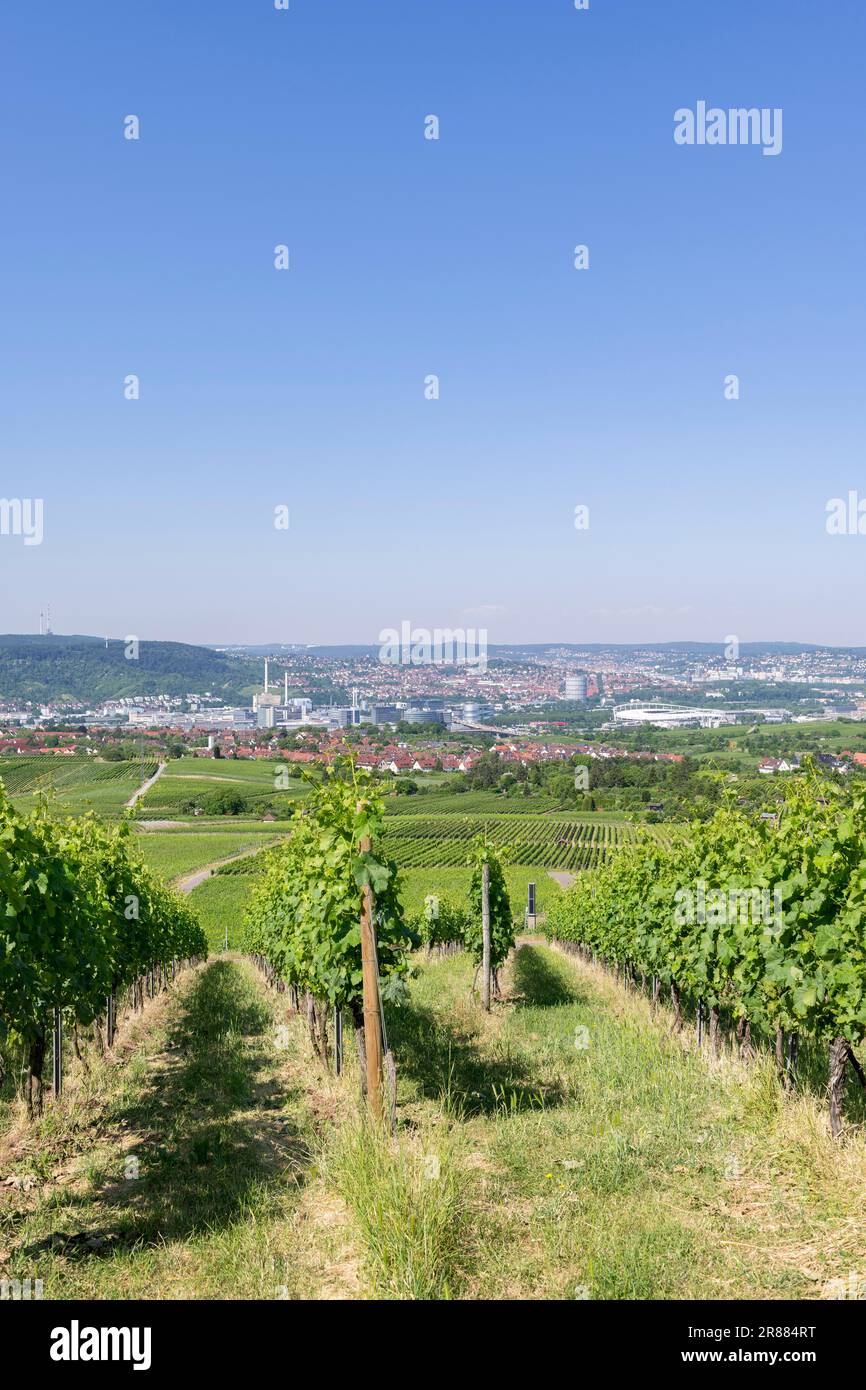 View of the city of Stuttgart with Mercedes-Benz plant Untertuerkheim ...