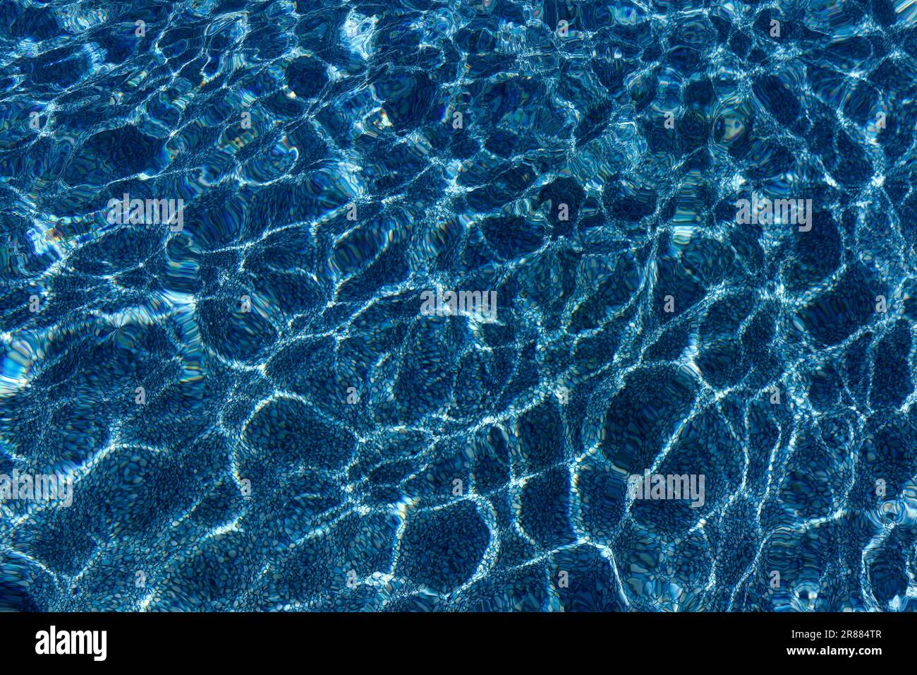 Swimming pool, water surface with reflections, wallpaper Stock Photo ...
