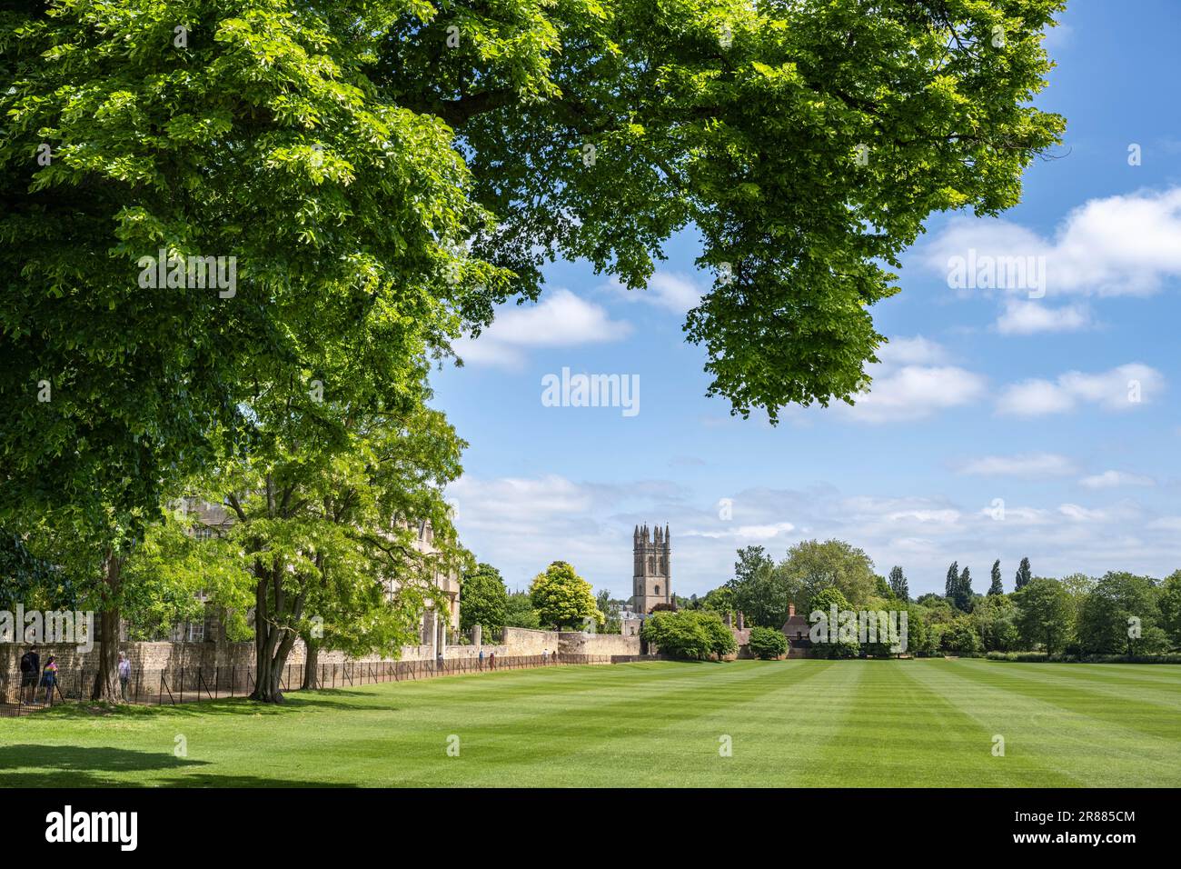 View across the grass playing field Merton Field to the church tower of ...