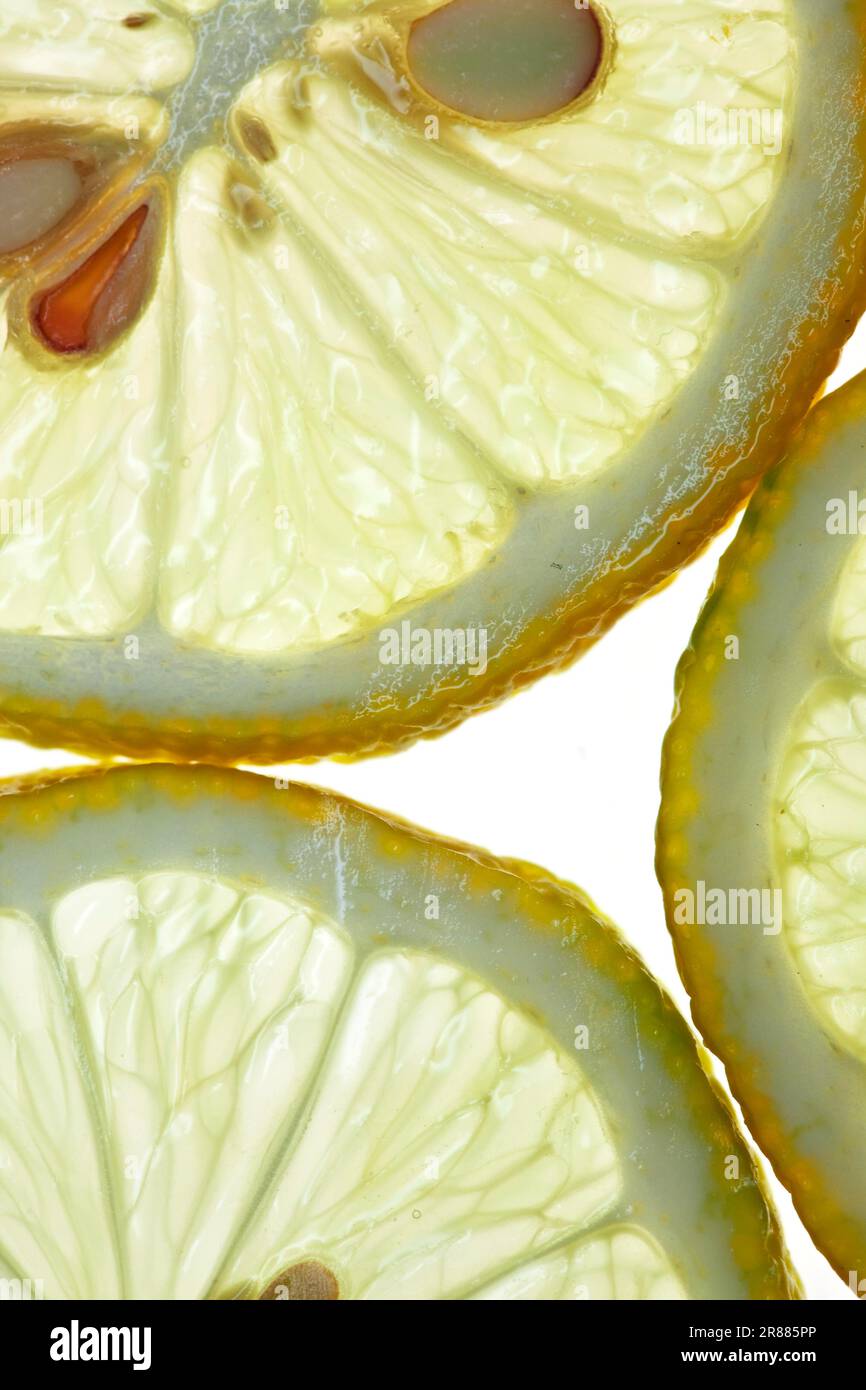 Sliced lemon against a white background with backlighting Stock Photo ...