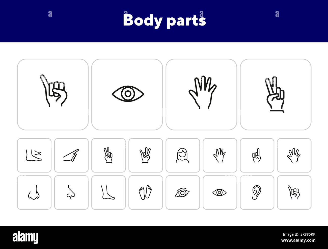 Body parts line icon set Stock Vector Image & Art - Alamy