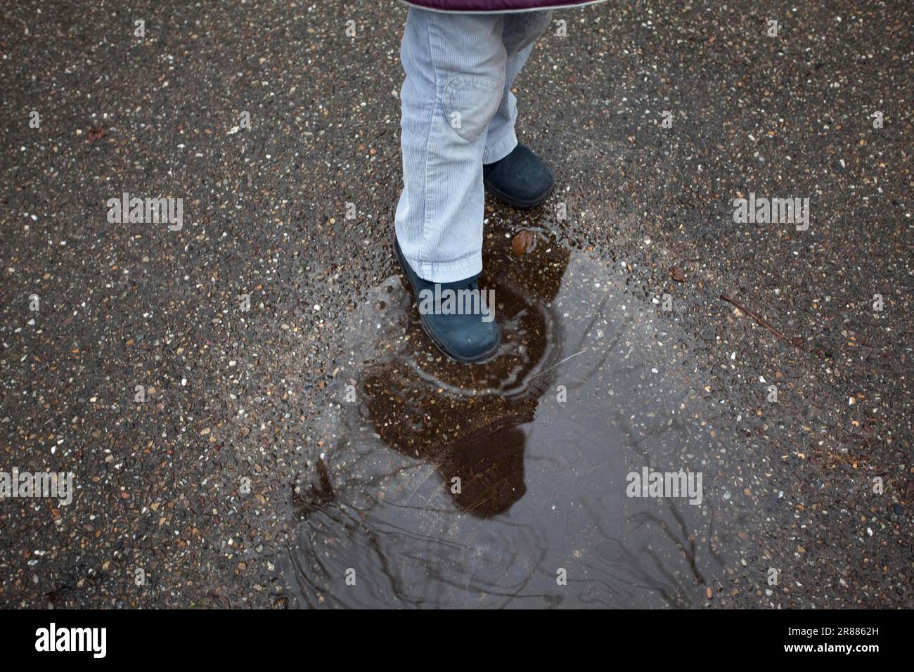 Child stepping into a puddle of water on a rainy day Stock Photo - Alamy