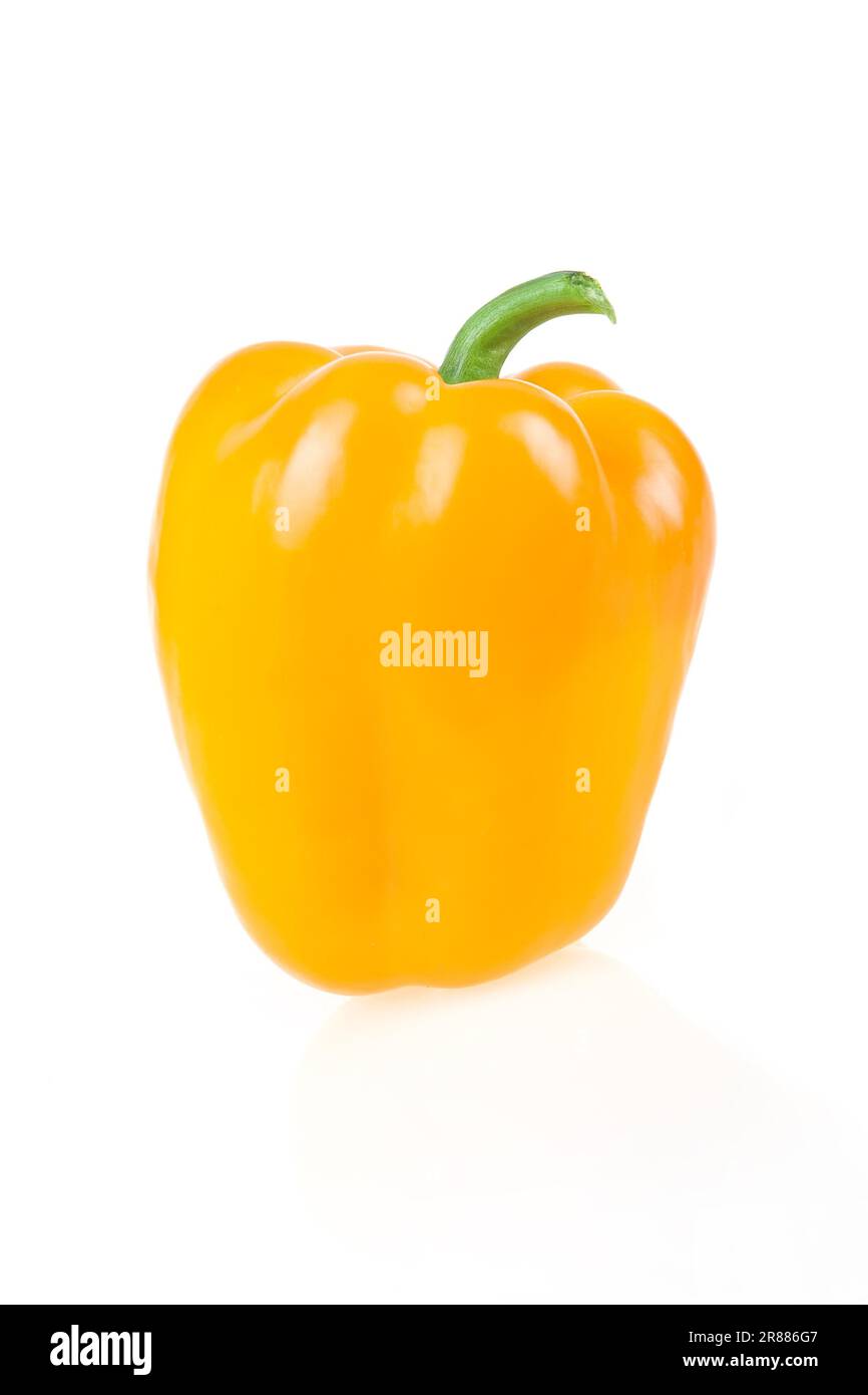 Ripe Yellow Paprika Isolated on White Background Stock Photo - Alamy