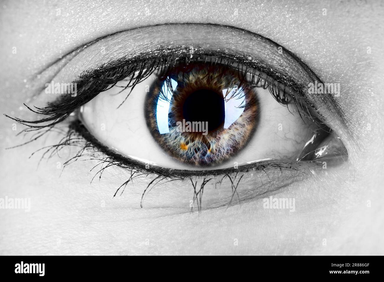 Female coloured eye with strong contrast of the pupil Stock Photo - Alamy