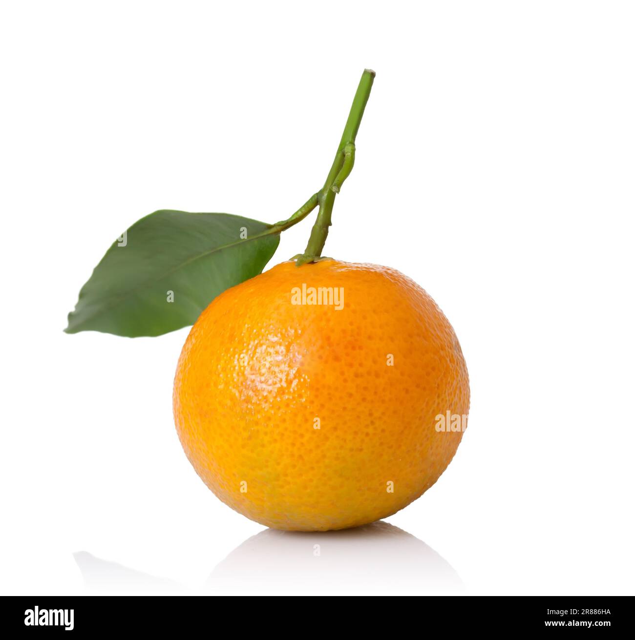 The mandarin detail hi-res stock photography and images - Alamy