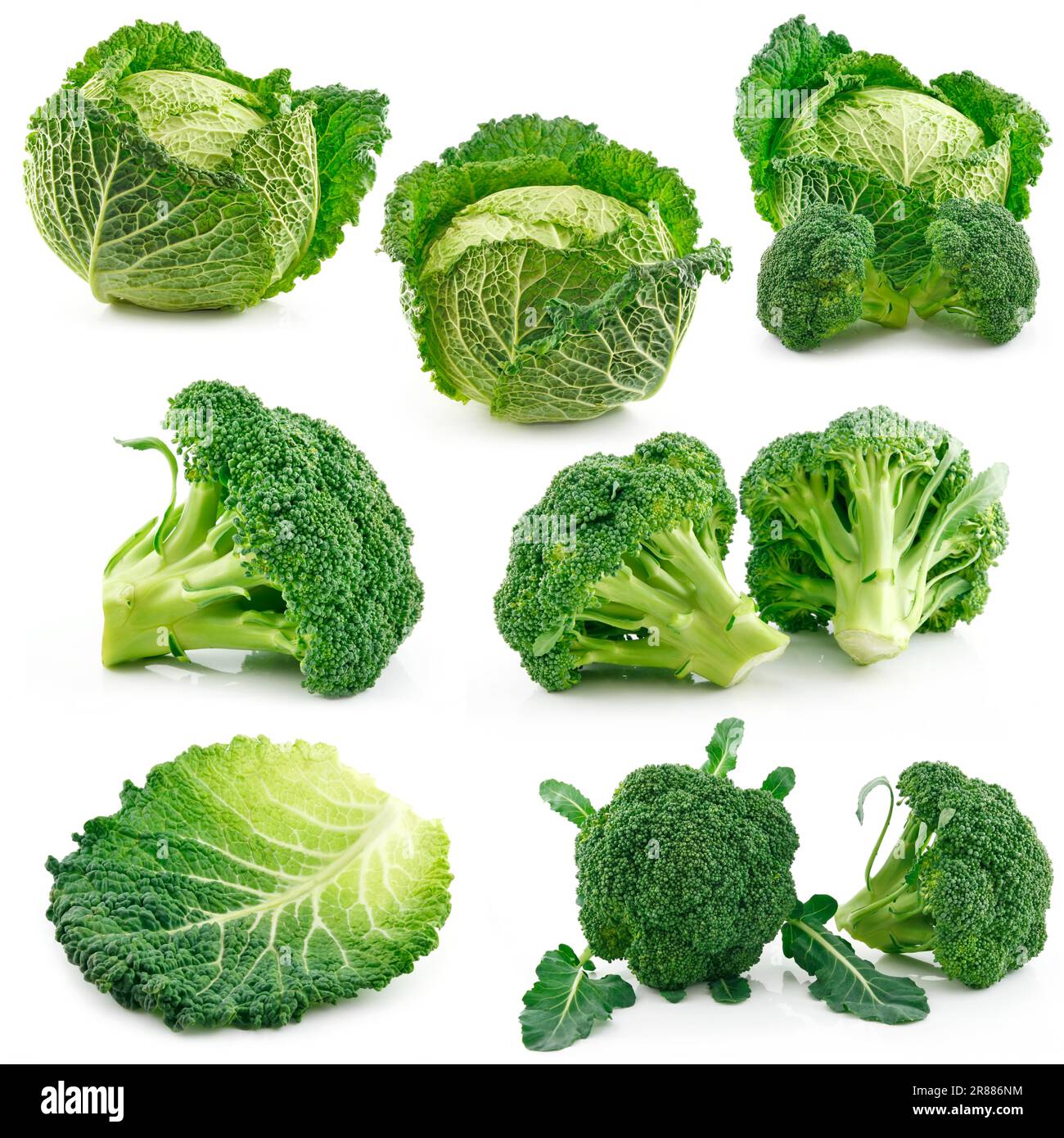 Set of Ripe Broccoli and Savoy Cabbage Isolated on White Background ...