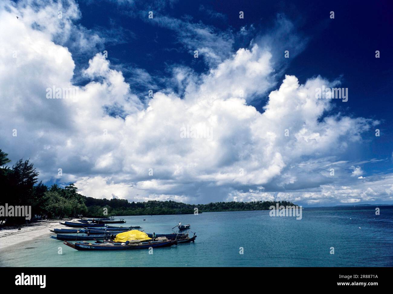 Havelock Island, Andaman and Nicobar Islands, India, Asia Stock Photo ...