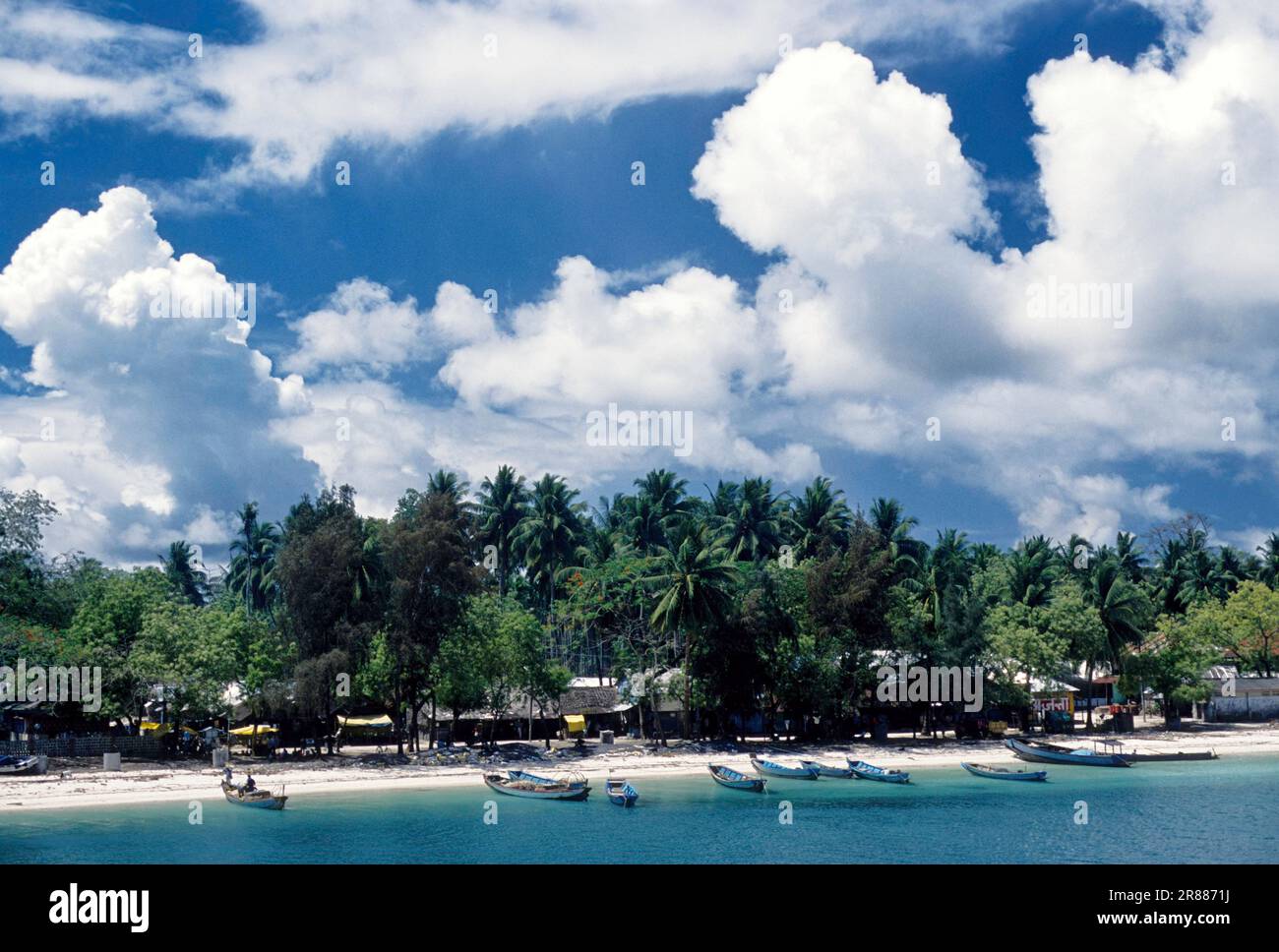 Havelock Island, Andaman and Nicobar Islands, India, Asia Stock Photo ...