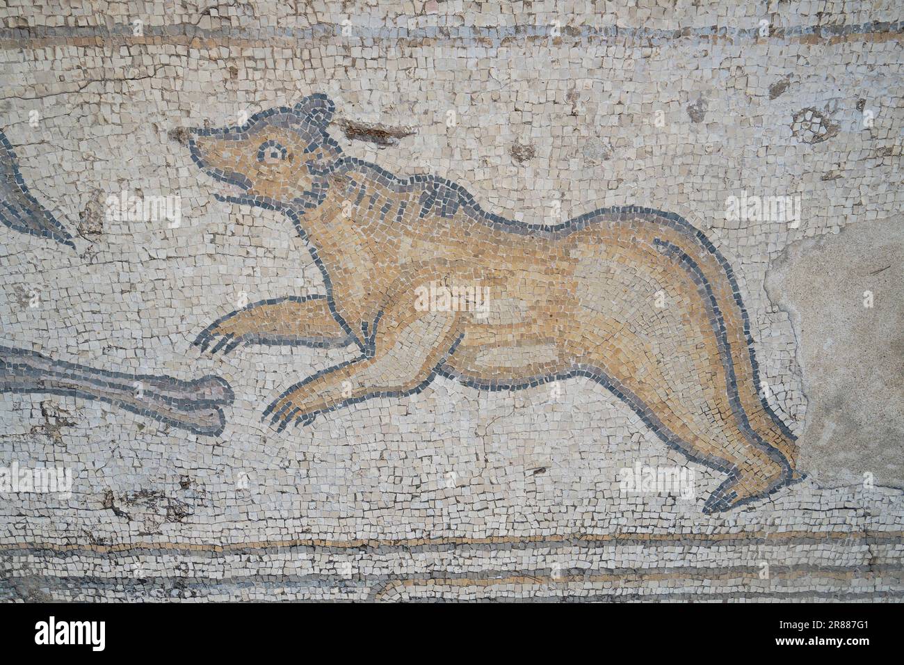 Caesarea, Israel - August 4th, 2022: A bear detail on the ancient ...