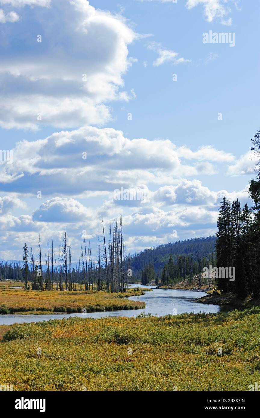 Yellowstone landscape photography hi-res stock photography and images ...