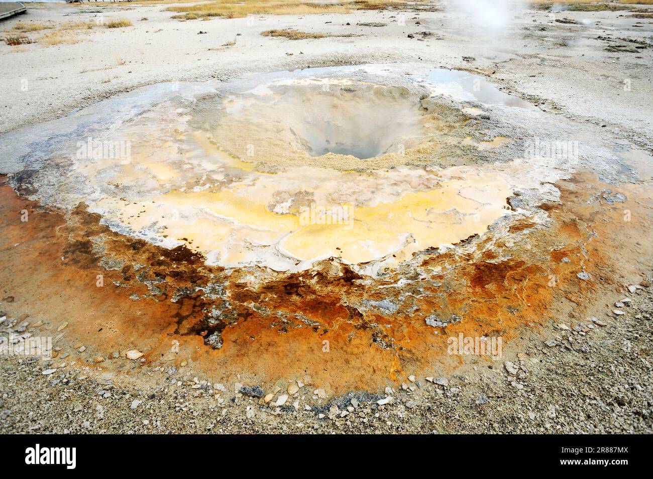 Hot spring 'Mustard Spring', Biscuit Basin, Yellowstone National Park ...