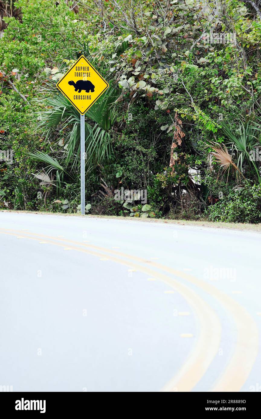 Road sign 'Gopher tortoises crossing the roadway', Sanibel Island ...