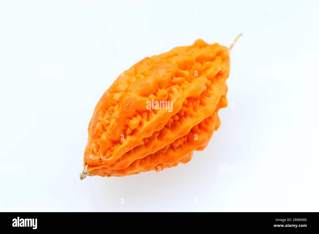 Bitter melon (Momordica charantia), balsam apple, balsam pear Stock ...