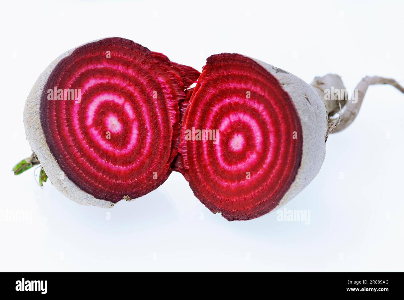 Beetroot (Beta vulgaris vulgaris), root, beetroot, tuber Stock Photo ...