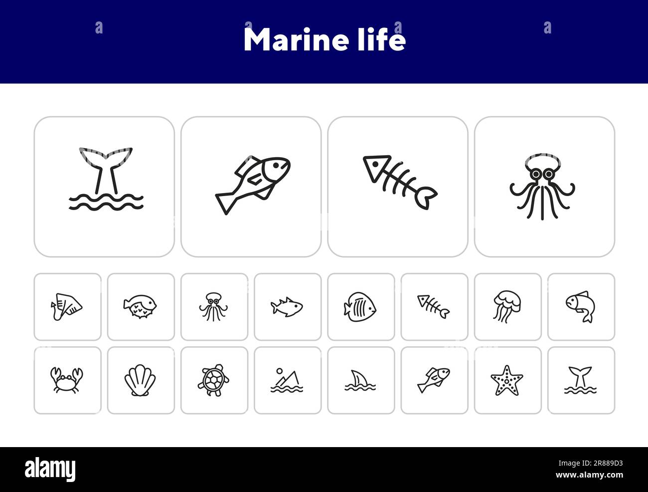 Marine life icon Stock Vector Image & Art - Alamy
