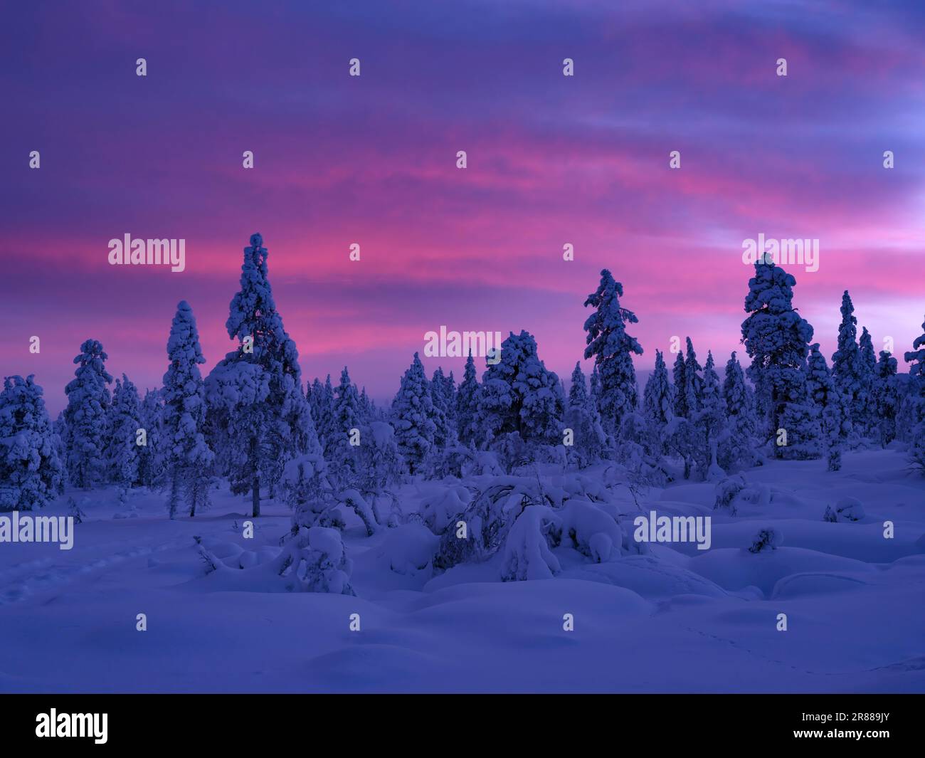 Urho kekkonen national park hi-res stock photography and images - Alamy
