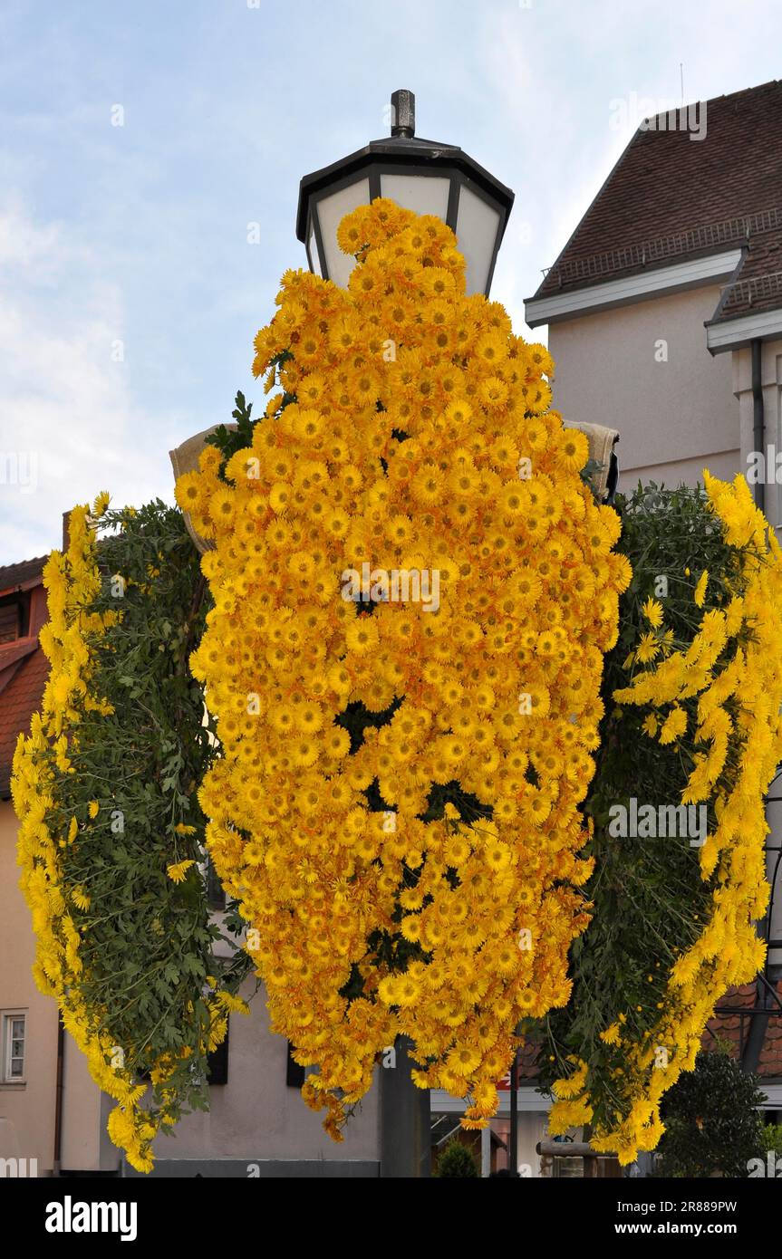 Streetlamp with flowers, Chrysanthema in Lahr, Germany's largest open ...
