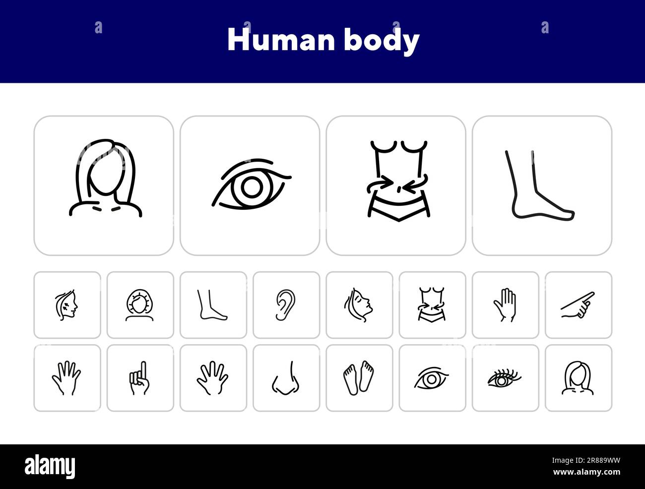 Human body line icon set Stock Vector Image & Art - Alamy