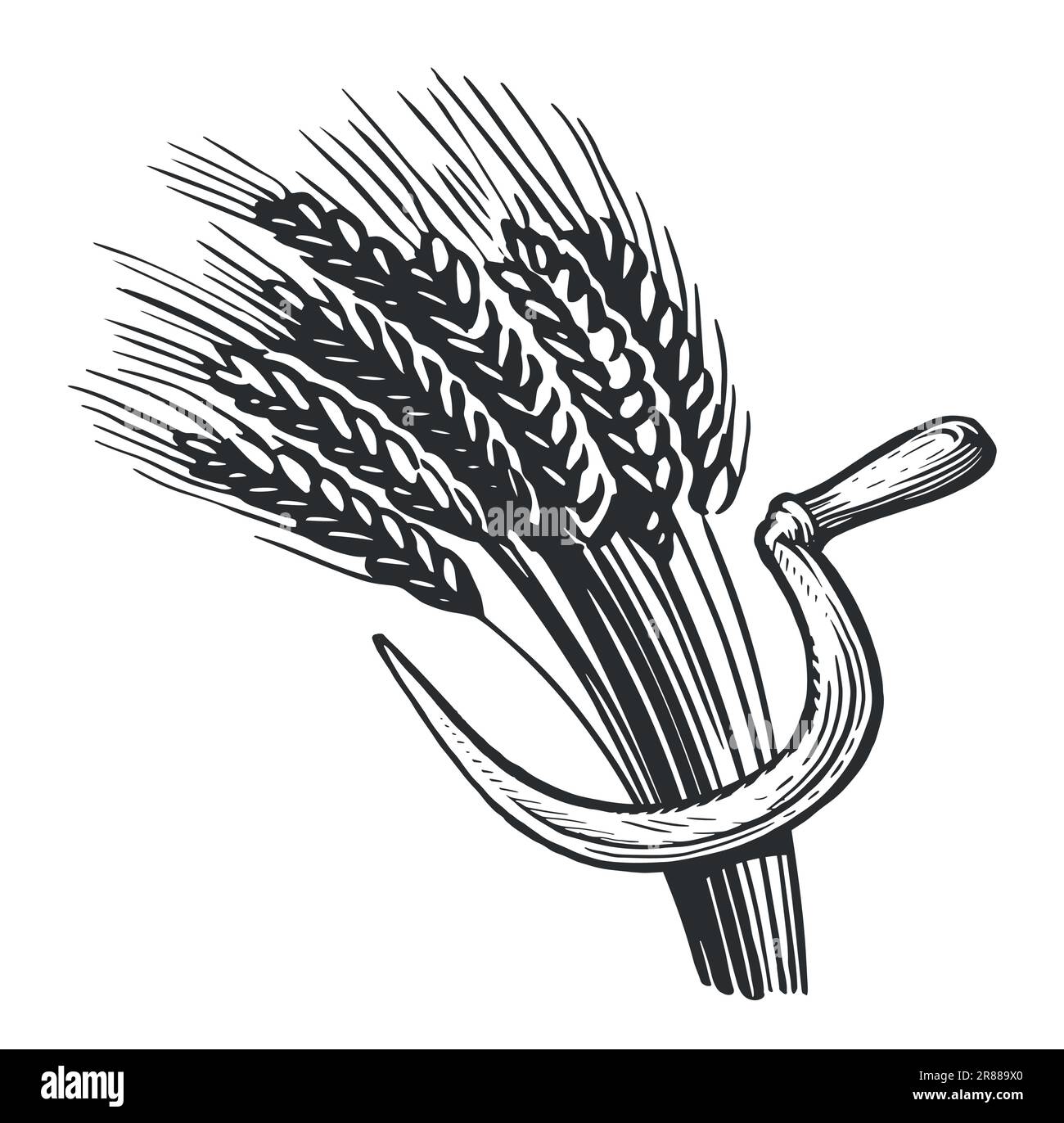 Sickle and wheat in style old engraving. Vintage sketch vector ...