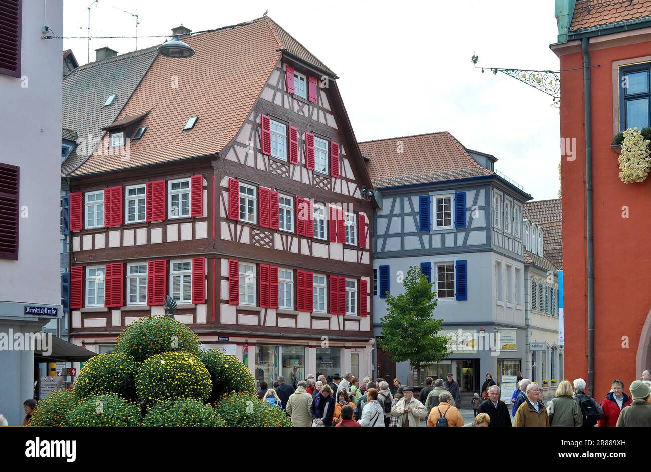 Old town hall, chysanthemums at the window, gardens, Chrysanthema in ...