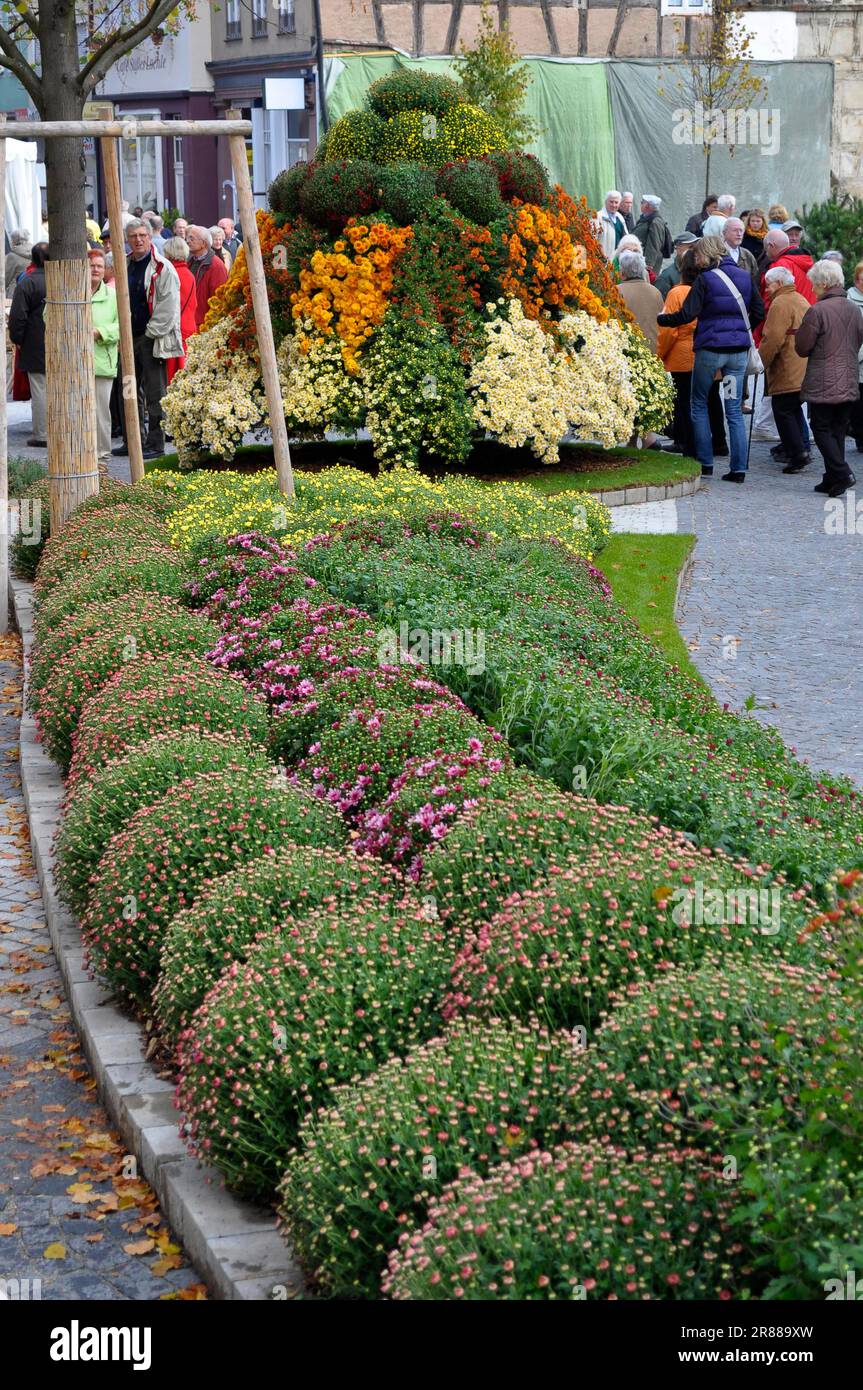 Giant flower arrangement, Chrysanthema in Lahr, Germany's largest open ...