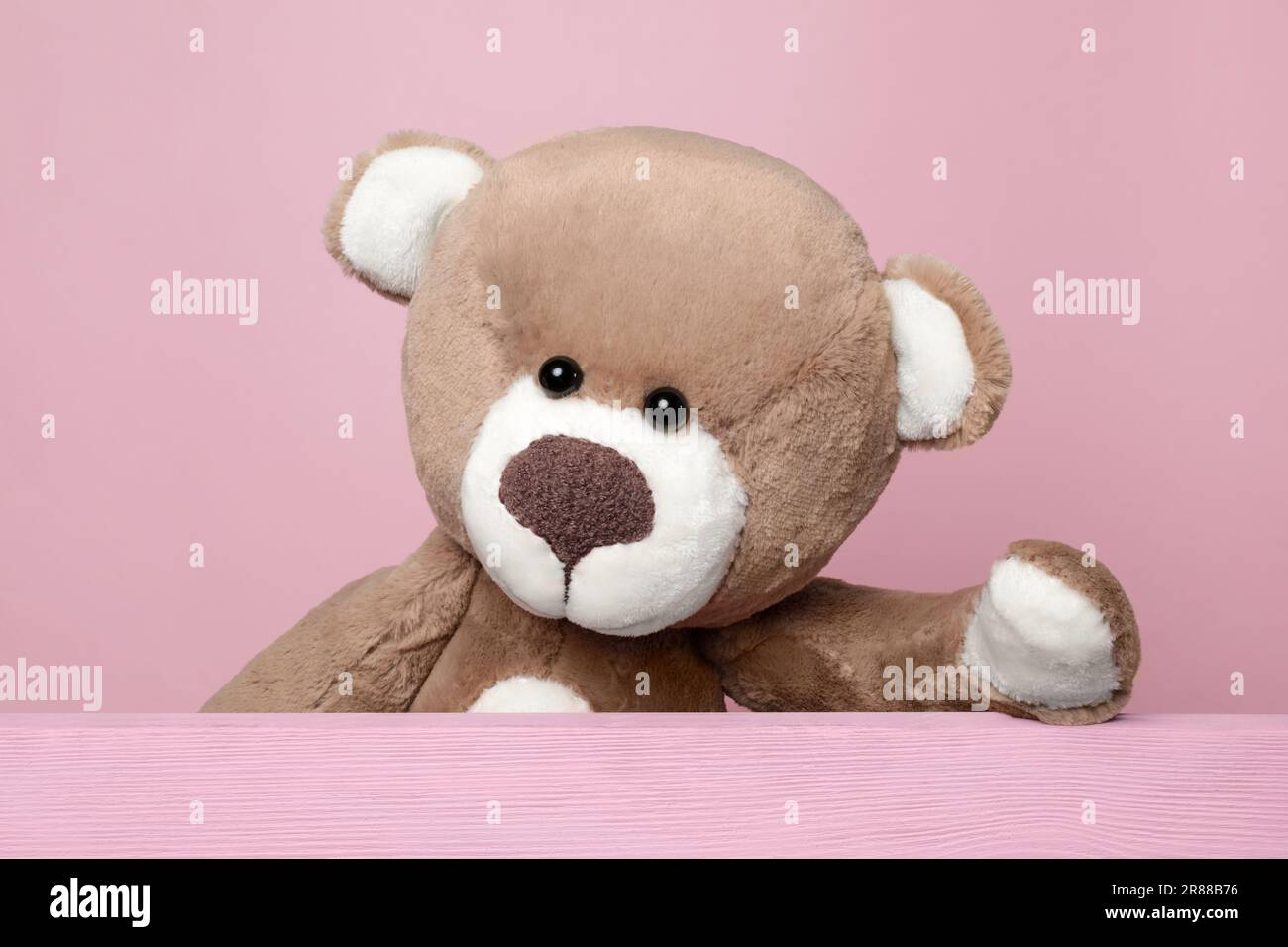 Cute teddy bear behind wooden plank on pink background Stock Photo - Alamy